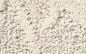 Carpet - Roberts Carpet & Fine Floors